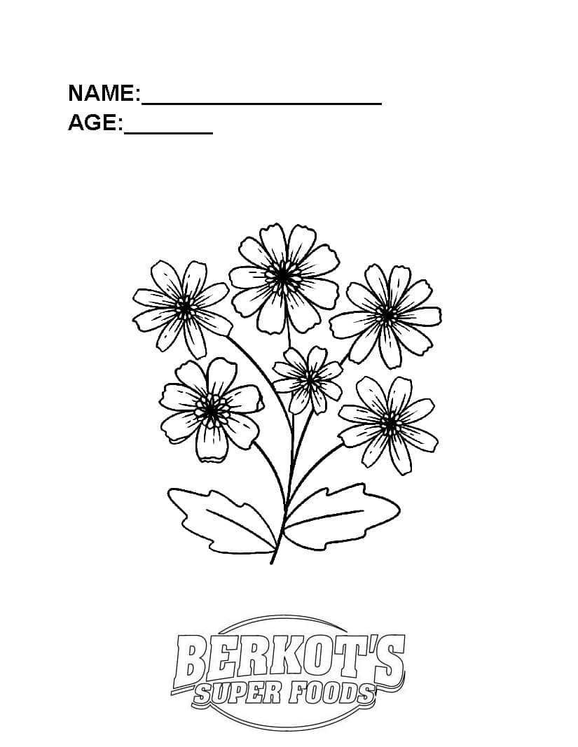 Spring Coloring Contest - Berkot’s Super Foods